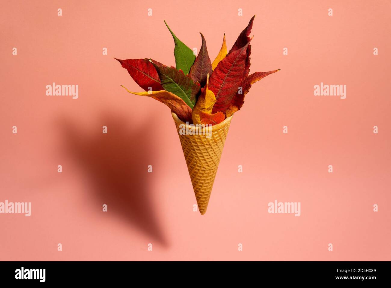 Autumn leaves in ice cream cone Stock Photo - Alamy