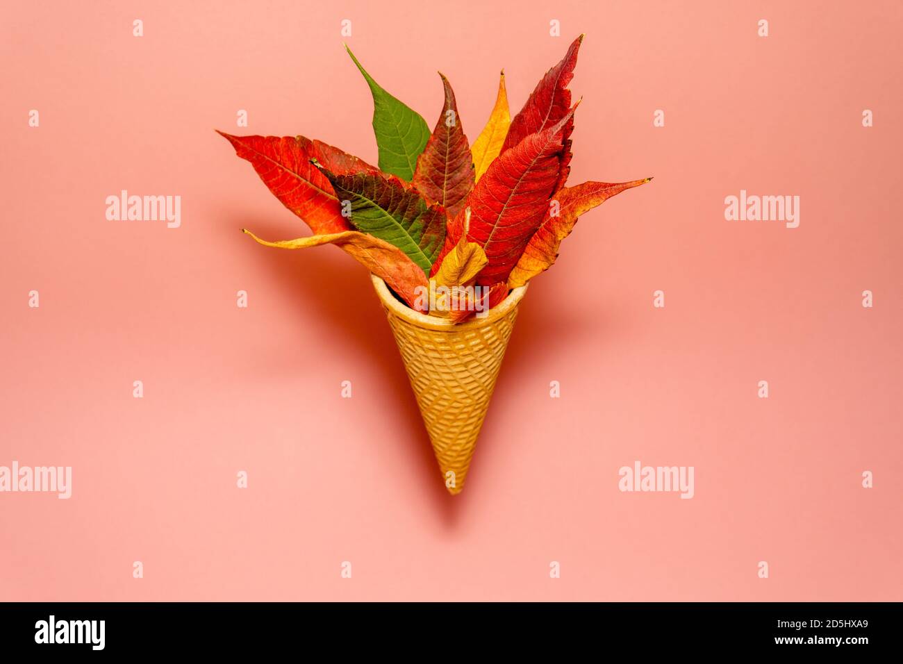 Autumn leaves in ice cream cone Stock Photo - Alamy