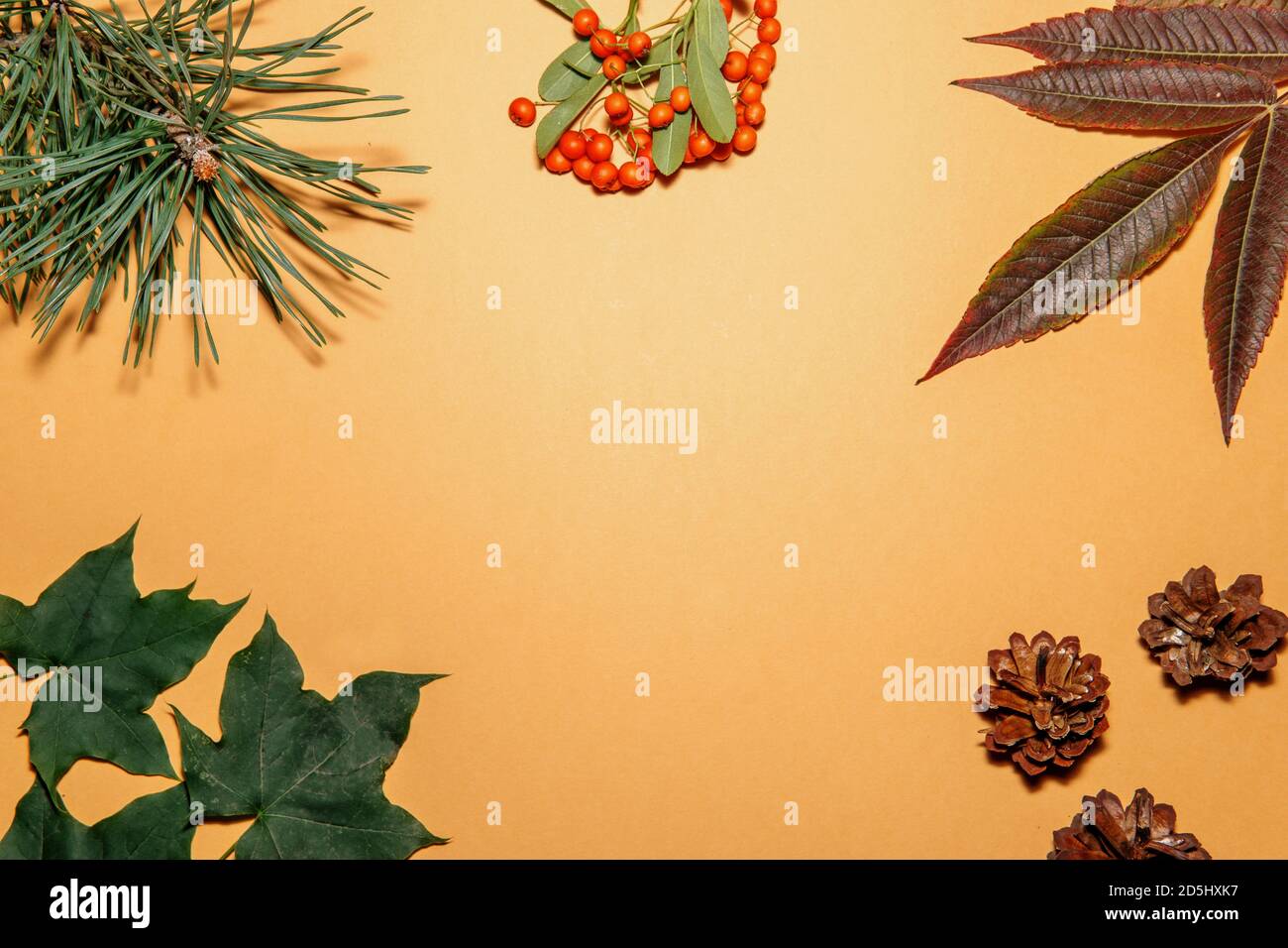 Fall leaf display hi-res stock photography and images - Alamy