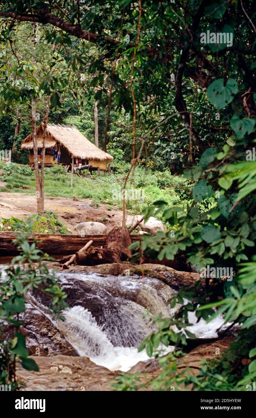 Hut in Amazon Rainforest, Brazil, South America Stock Photo - Alamy