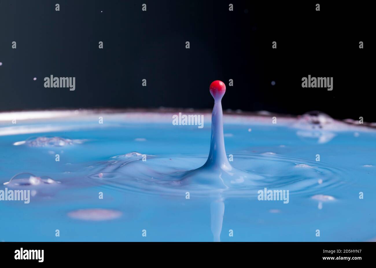 Blue & Red paint splashing creating a collision with a droplet.Paint ...