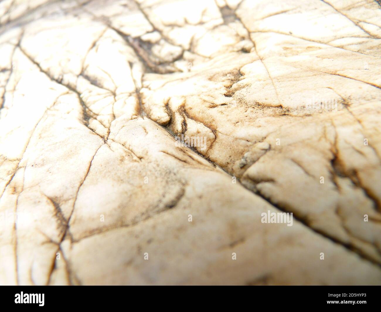 Closeup shot of the texture of the rock - perfect for background or ...