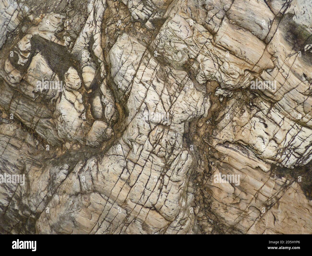 Closeup shot of the texture of the rock - perfect for background or ...