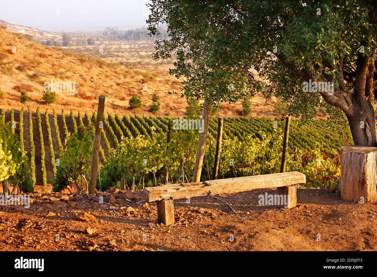 Chile vineyard soil hi-res stock photography and images - Alamy