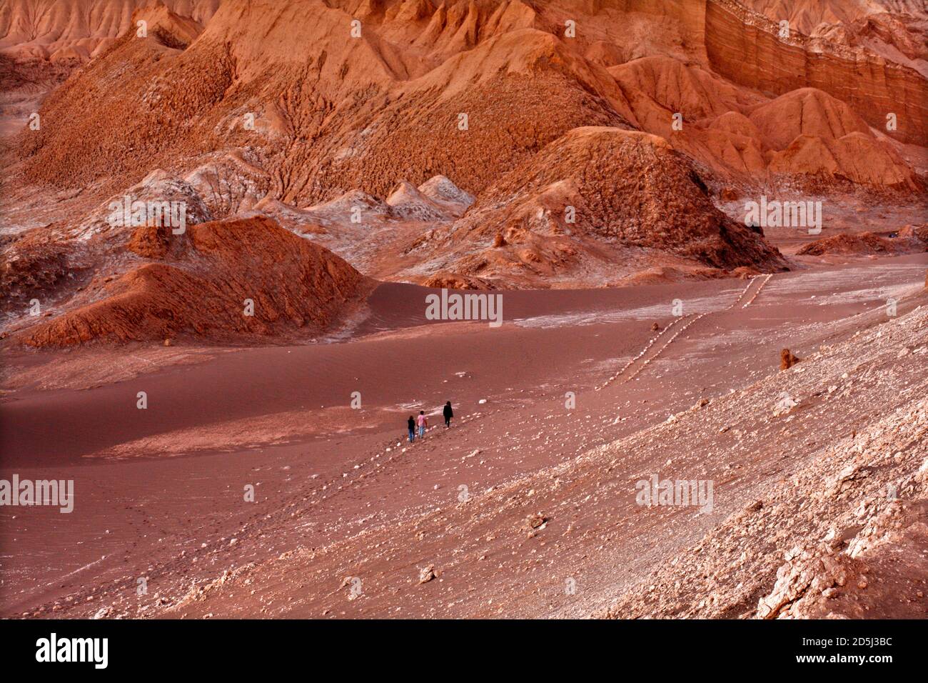 Deep Waste Collection High Resolution Stock Photography and Images - Alamy