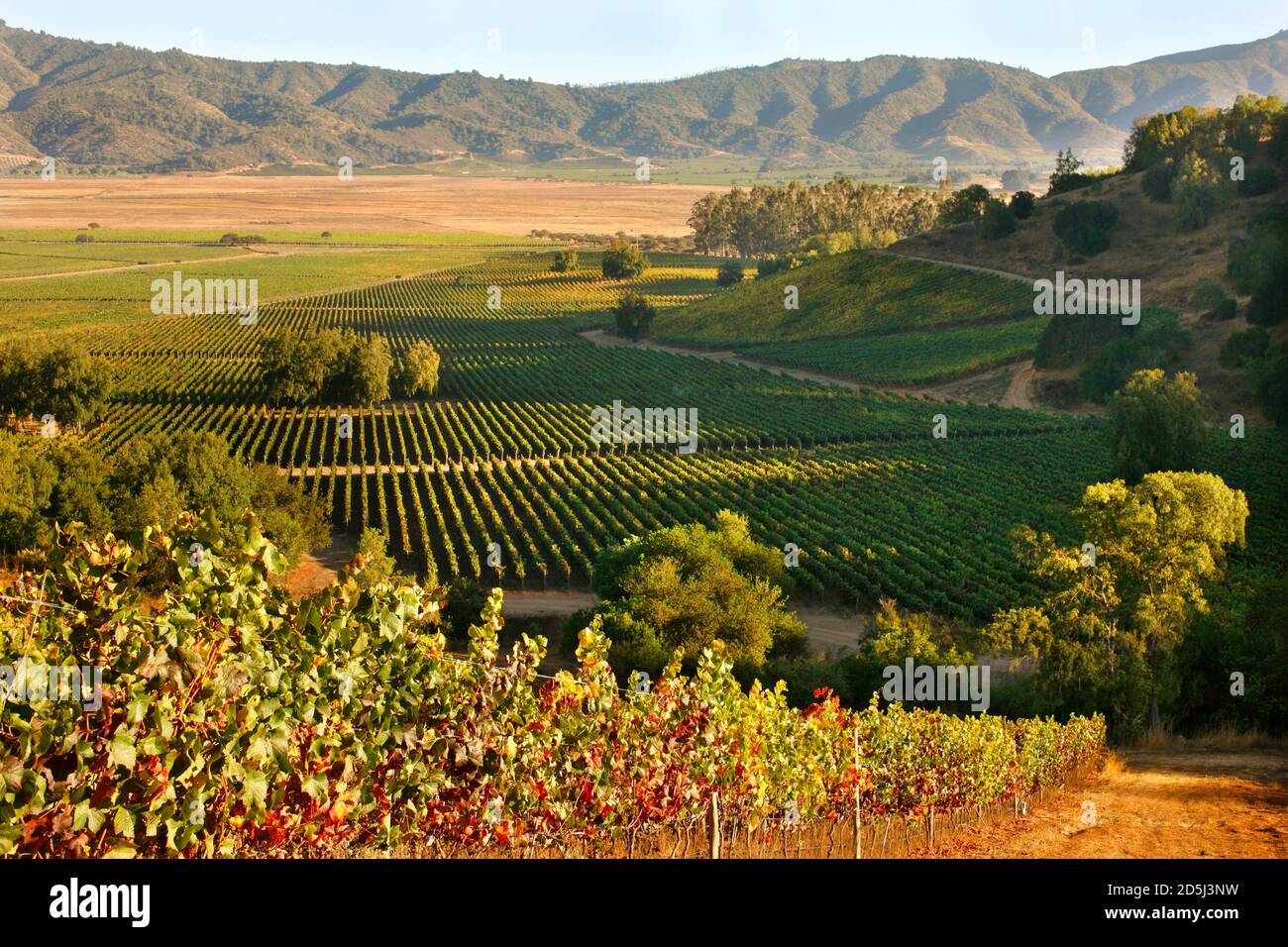 Chile, South America Stock Photo - Alamy