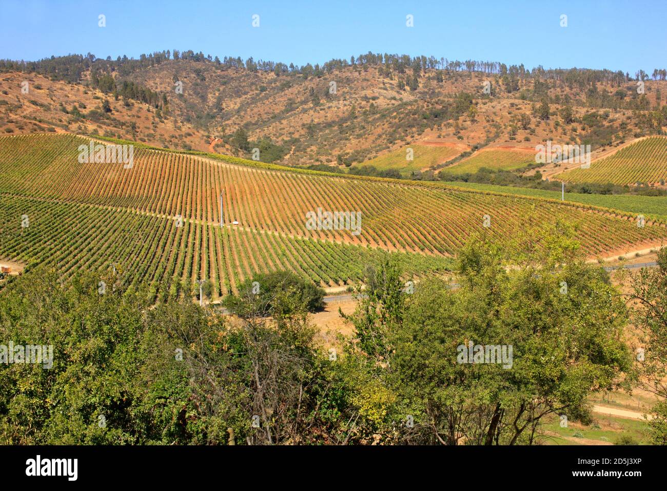 Rapel valley chile hi-res stock photography and images - Alamy