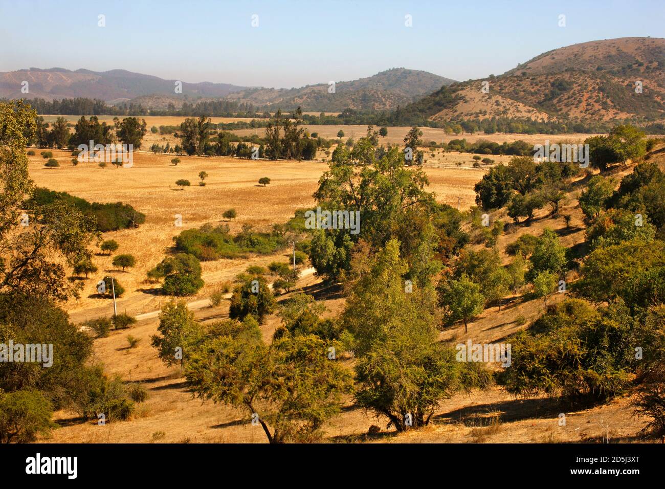 Chile vineyard soil hi-res stock photography and images - Alamy