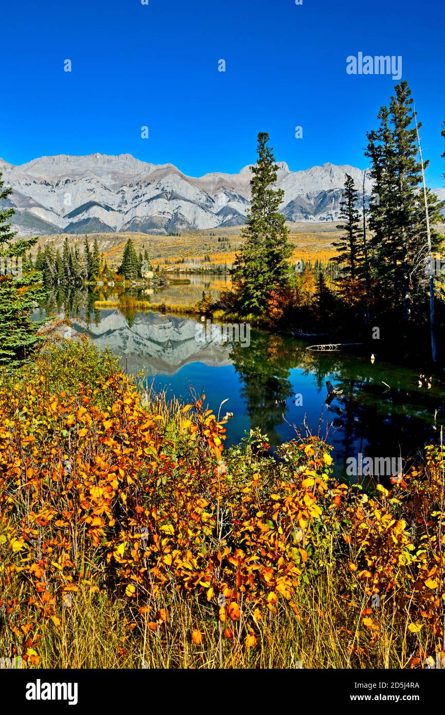 Talbot lake jasper national park hi-res stock photography and images ...