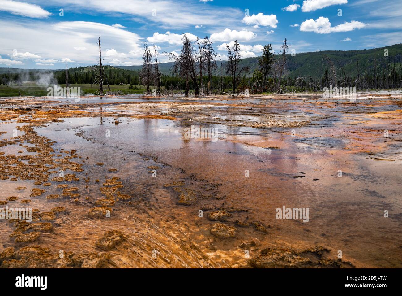 Biscuit Basin hot springs and geothermal geyser area of Yellowstone ...