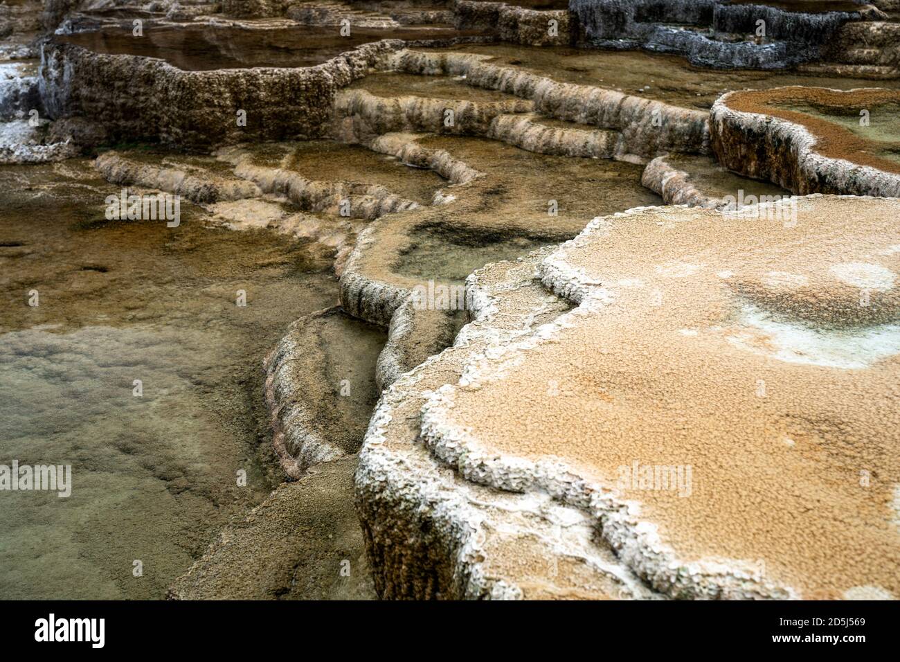 Close up view of the mineral terraces formed at Mammoth Hot Springs in ...