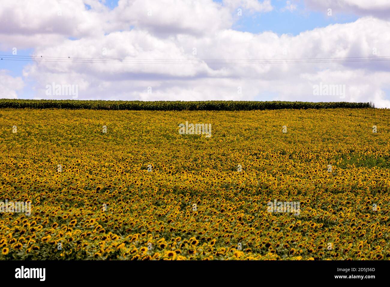 European natural countryside Stock Photo - Alamy