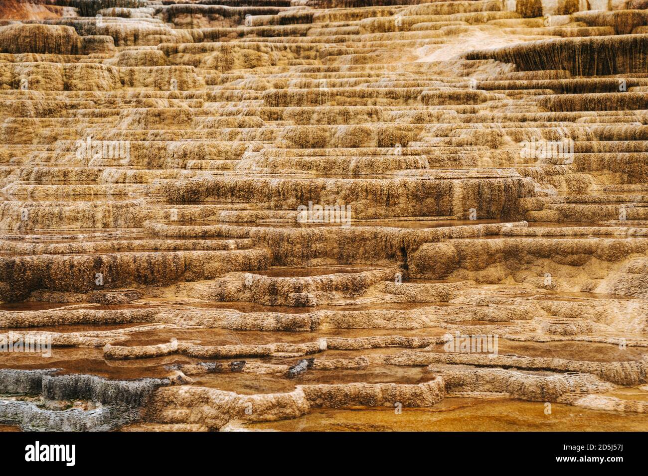 Close up view of the mineral terraces formed at Mammoth Hot Springs in ...