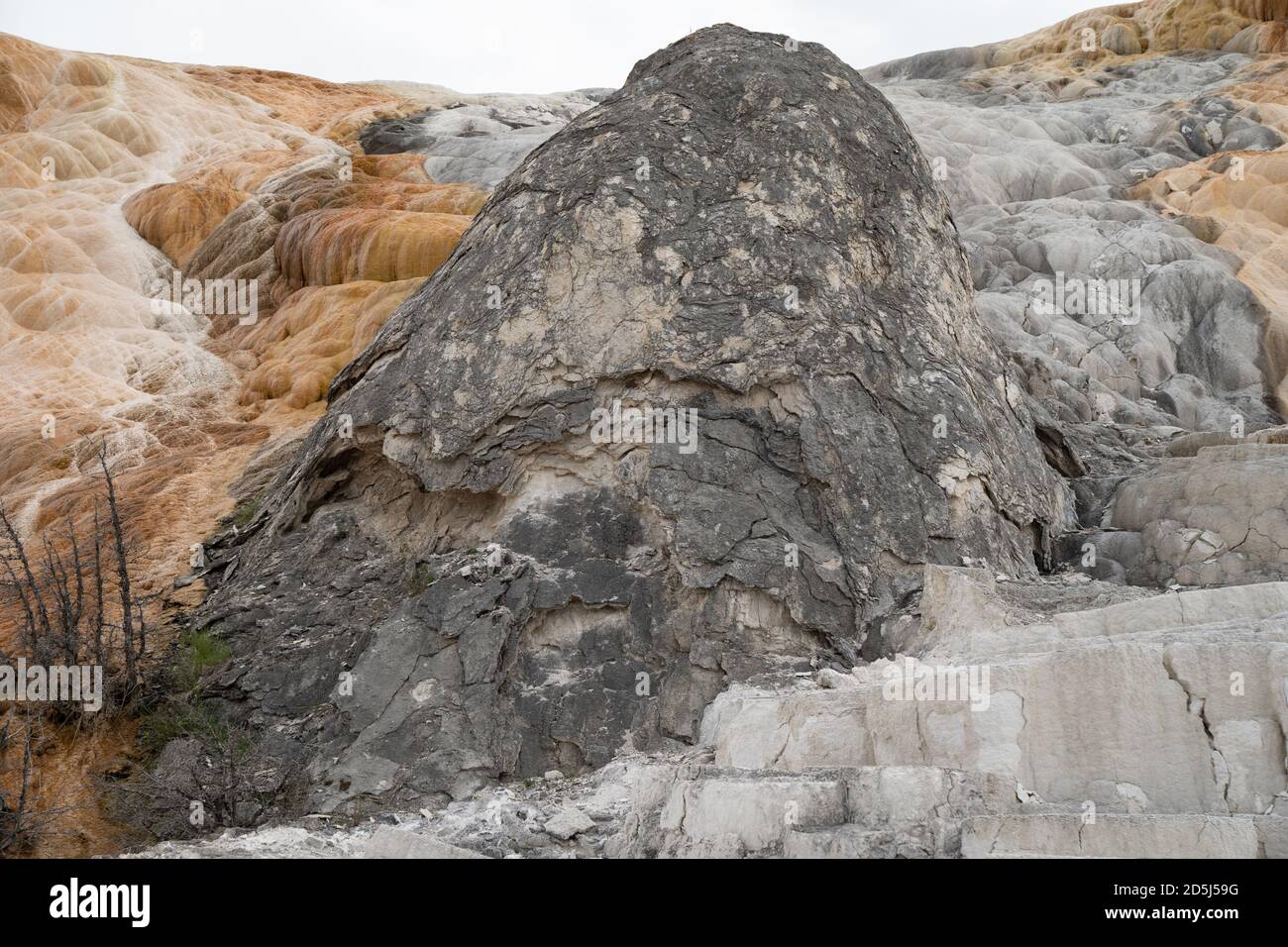 Devils Thumb, a hot spring mineral formation in Yellowstone National ...