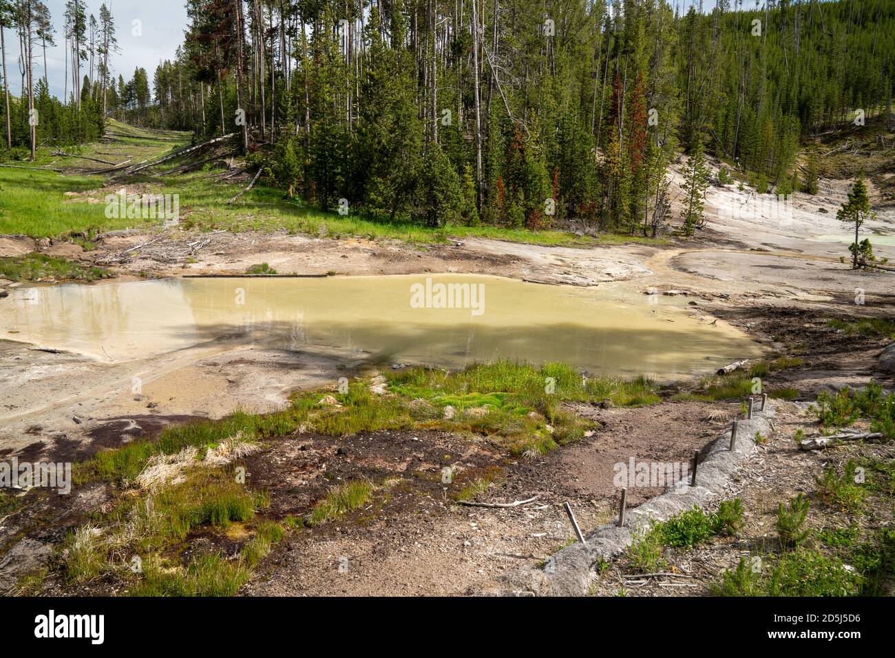 Frying Pan Hot Springs in Yellowstone National Park Stock Photo - Alamy