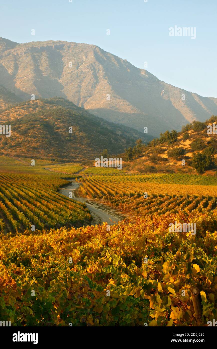 Agriculture metropolitan region chile hi-res stock photography and ...