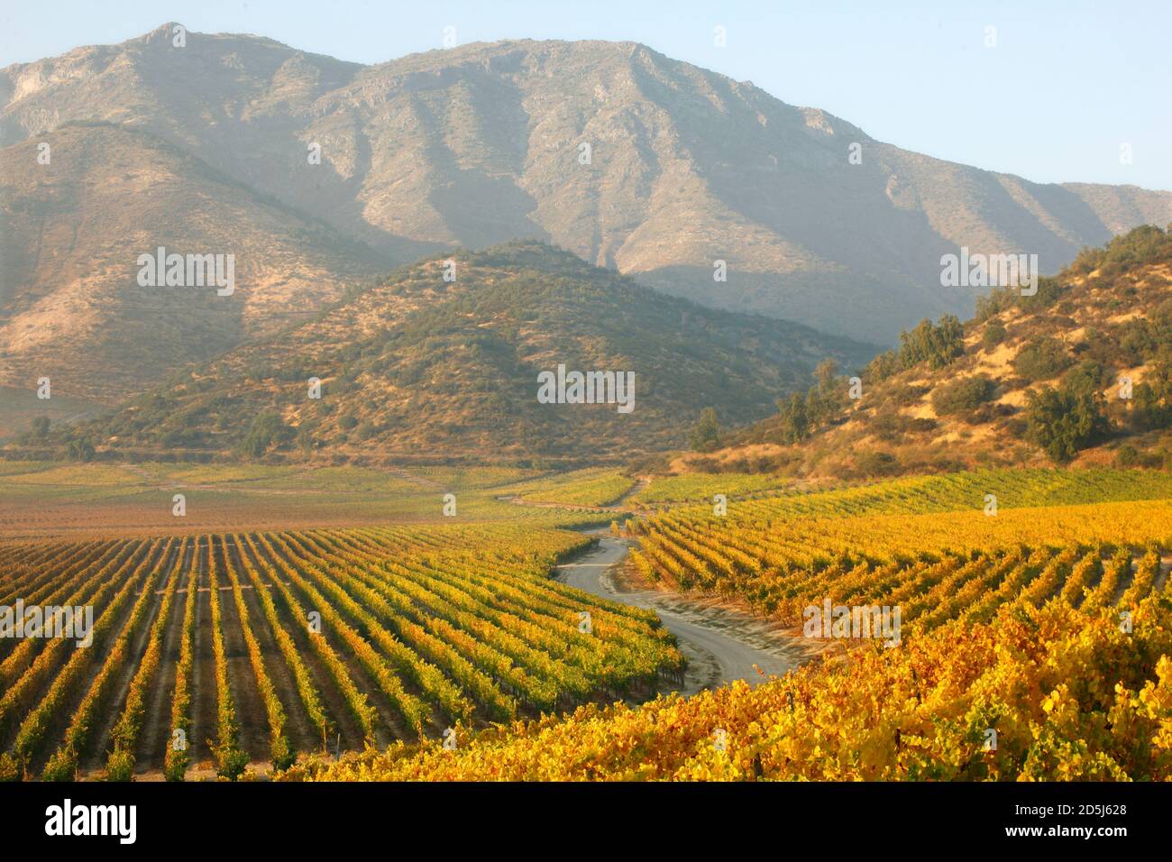 Chile, South America Stock Photo - Alamy