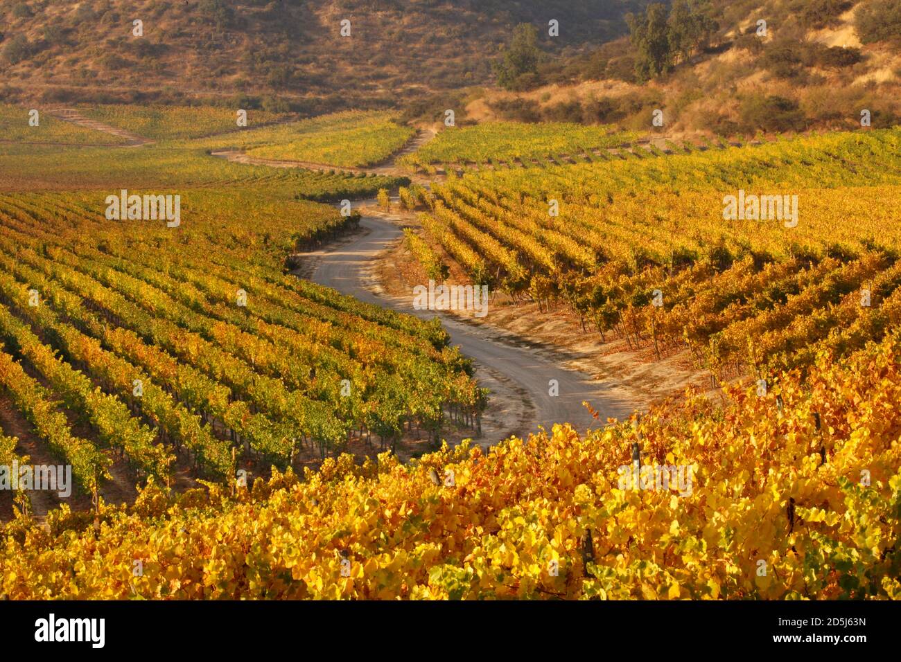 Agriculture metropolitan region chile hi-res stock photography and ...