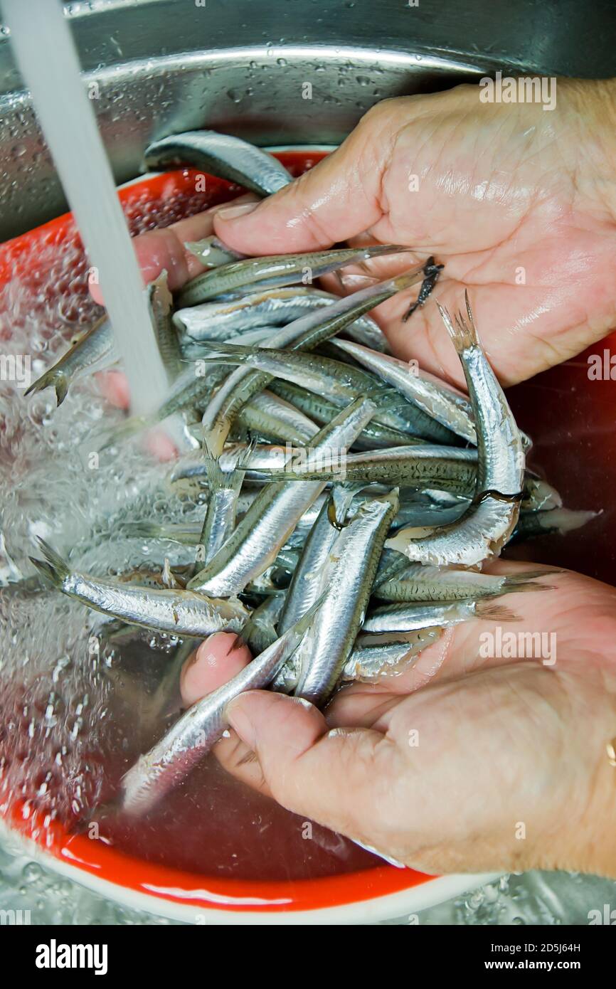 Fish vendor washing fish Stock Photo - Alamy