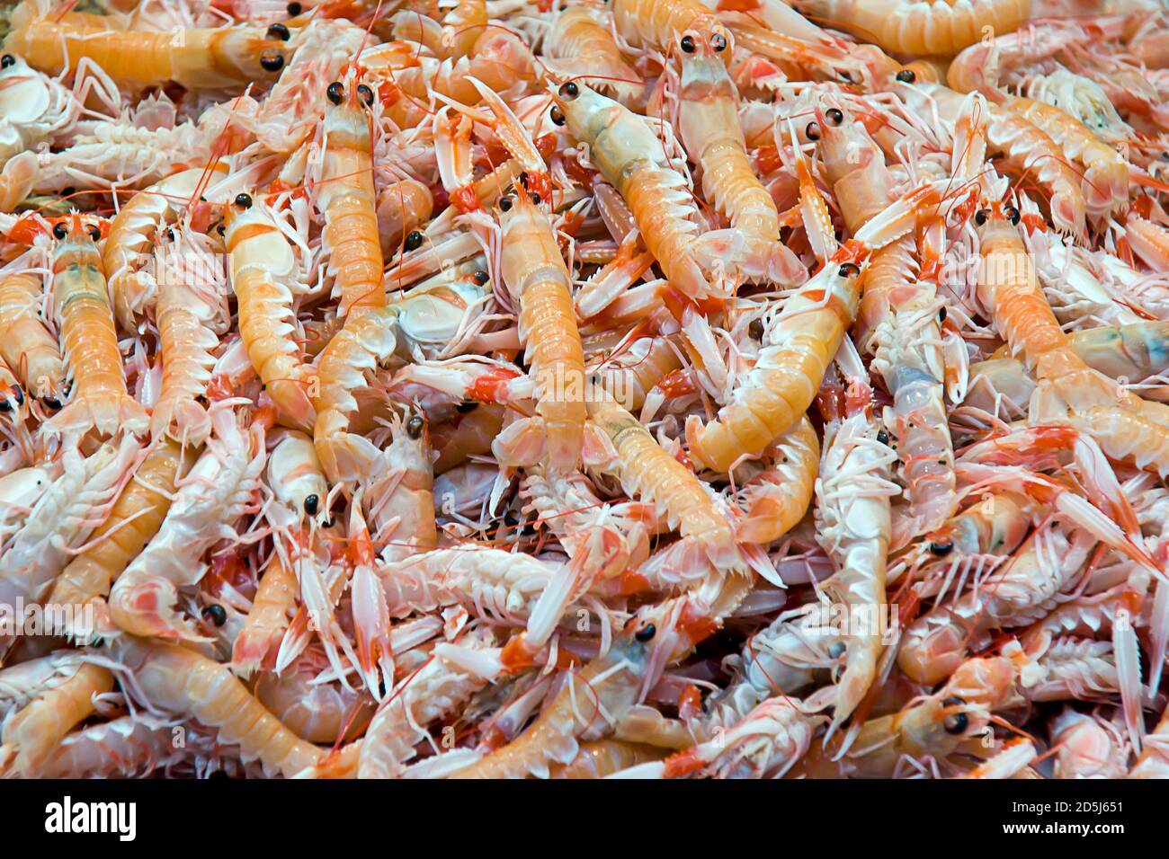 Closeup shot of a pile of fresh crayfish in a market Stock Photo - Alamy