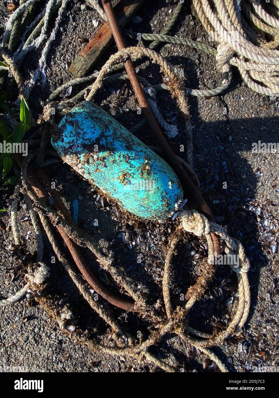 Dirty floater hi-res stock photography and images - Alamy