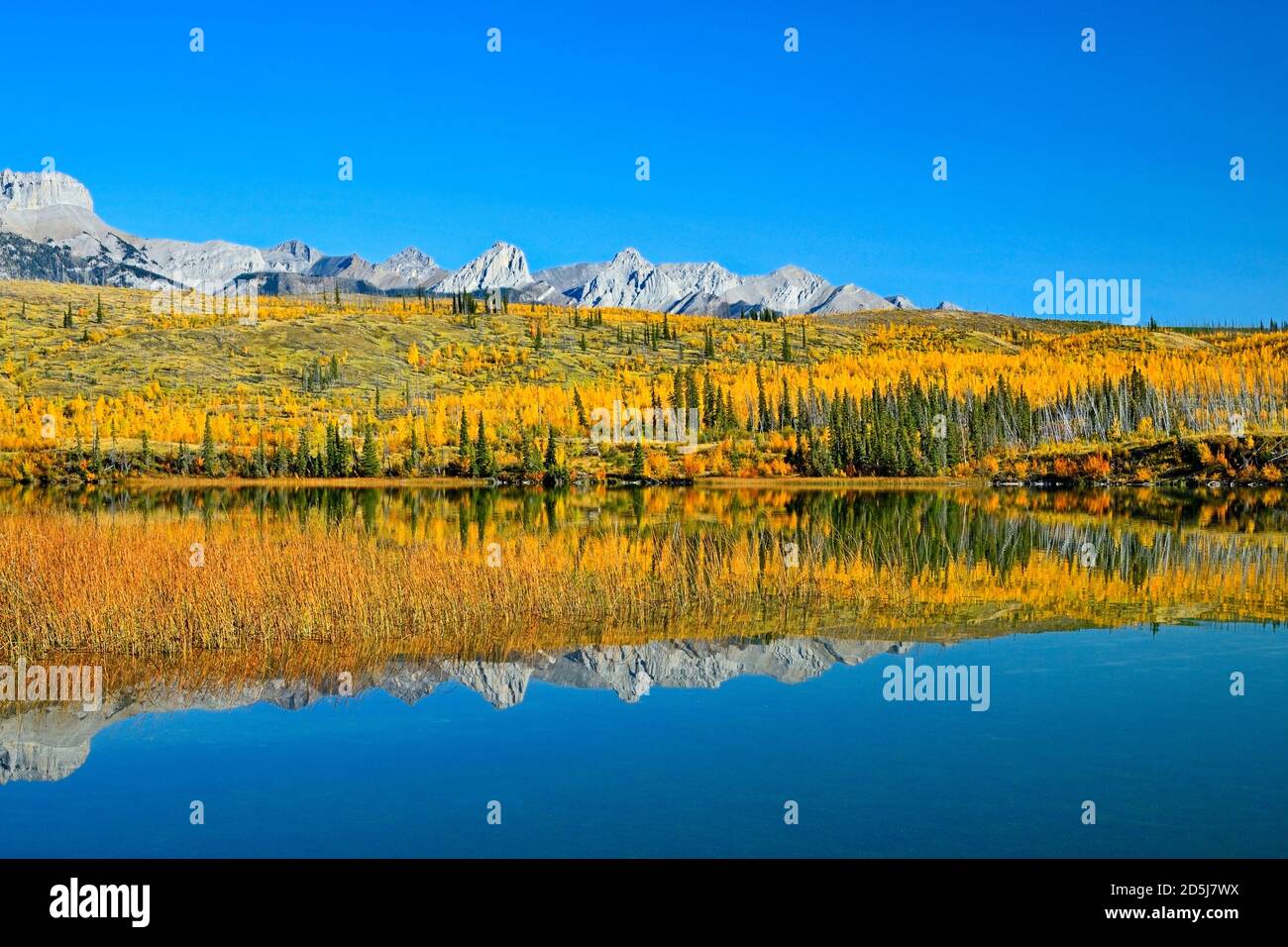 A beautiful autumn reflection on Talbot lake from Sincline ridge in ...
