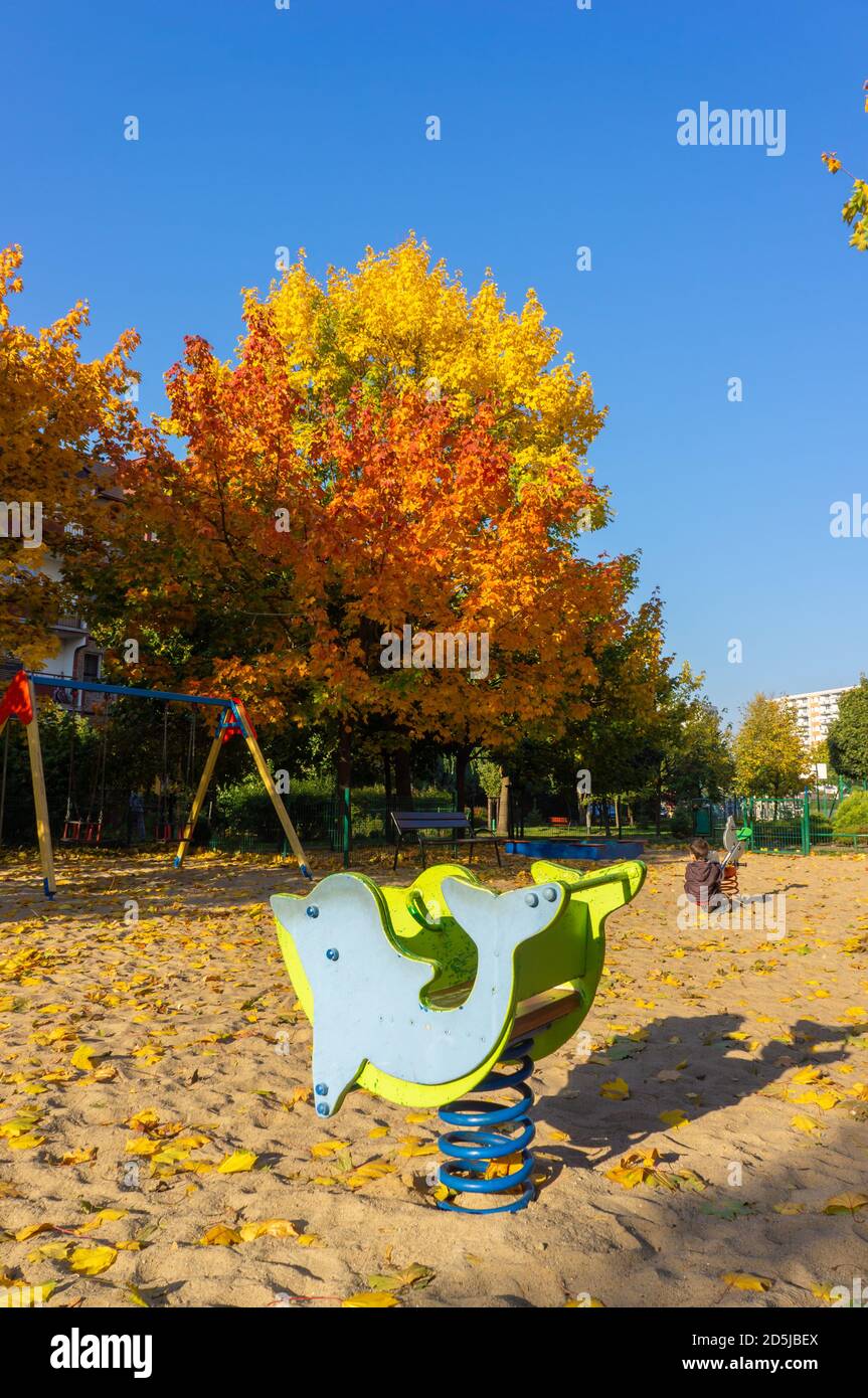 A dolphin spring swing set on a sandy playground with autumn colors in ...