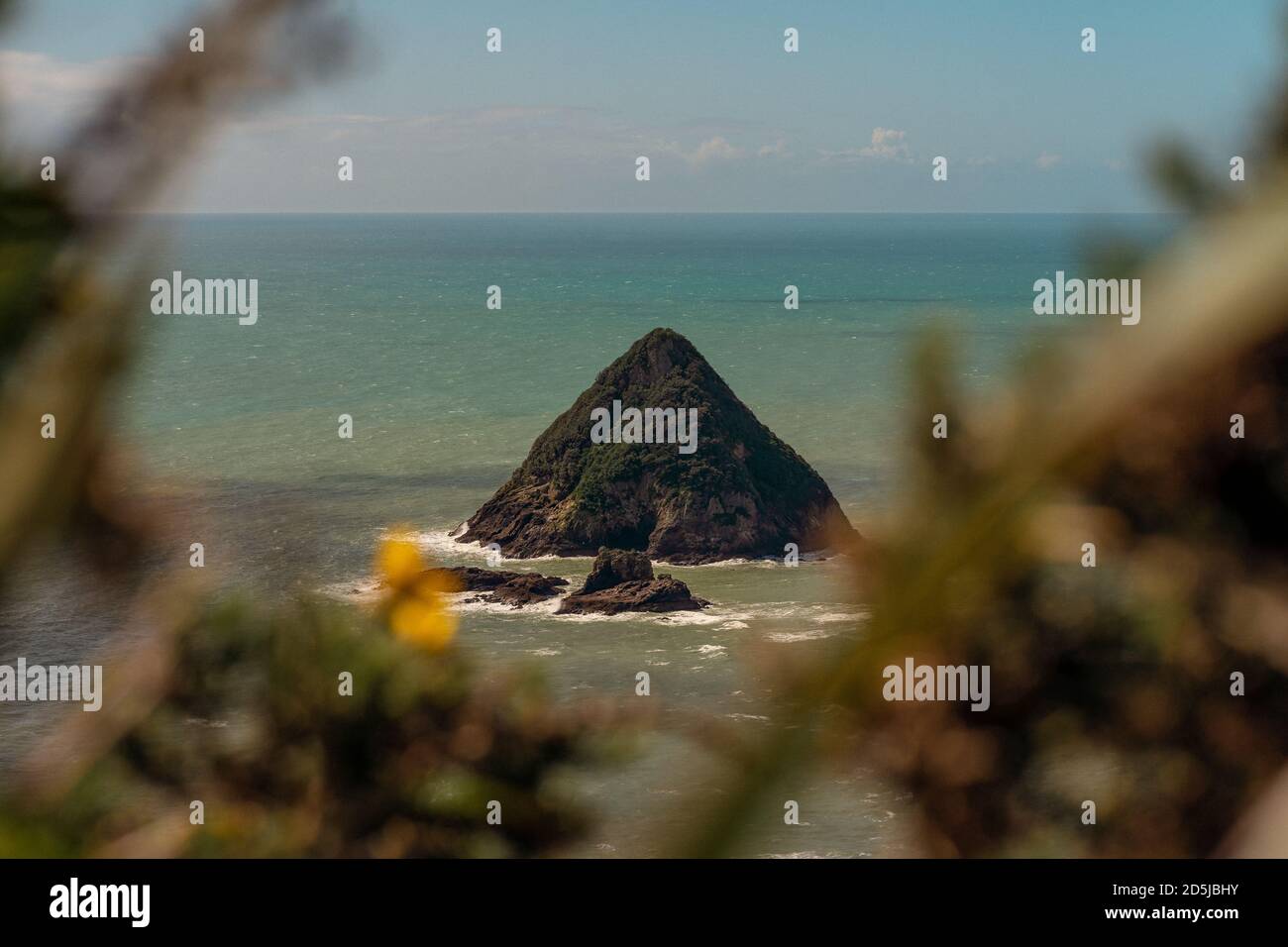Moturoa island hi-res stock photography and images - Alamy