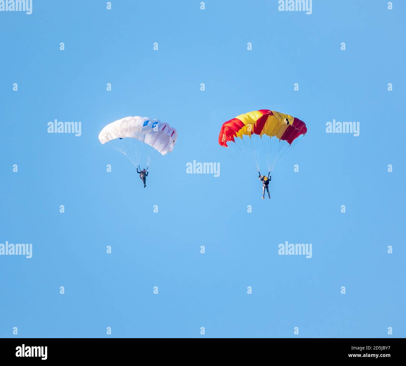 Two parachutists with white parachute floats slowly at low altitude on ...