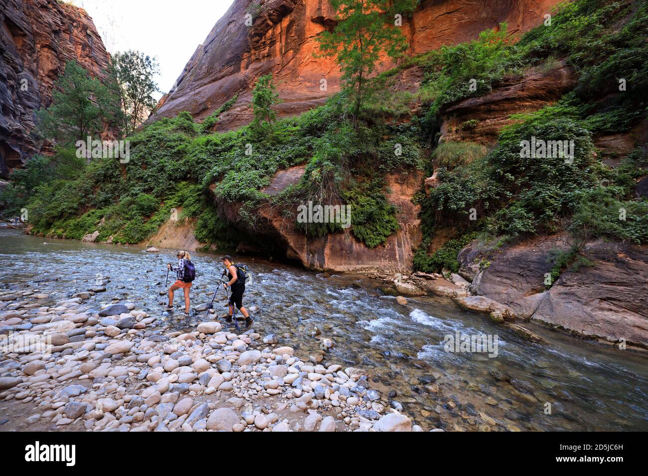 Springdale, Utah, USA. 10th Aug, 2020. two hikers wade through waters ...