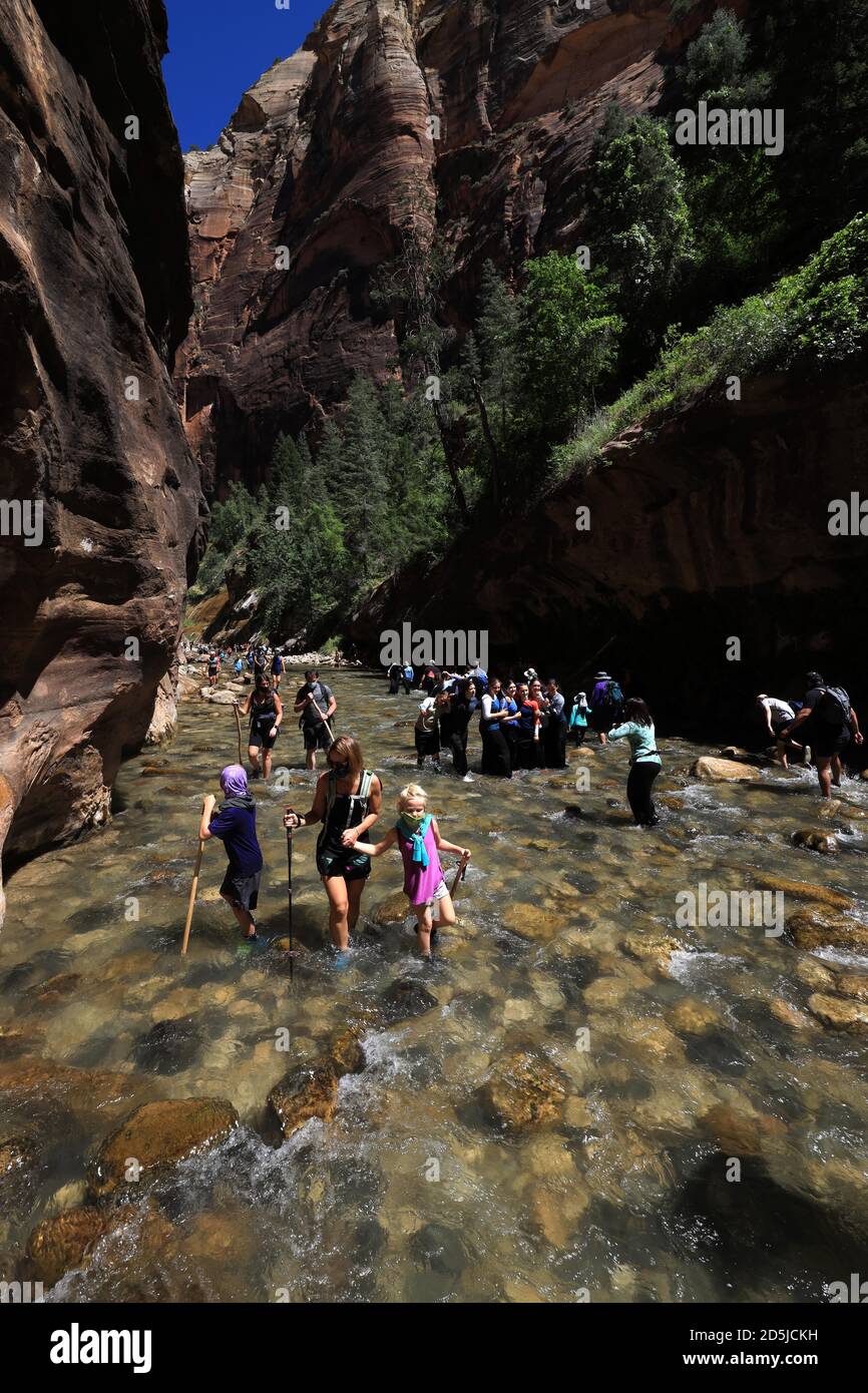 Springdale, Utah, USA. 10th Aug, 2020. Crowds of hikers wade through ...