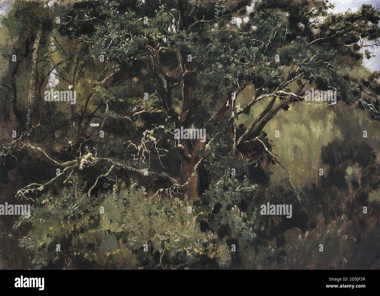 Vasnetsov Victor - Oak Tree in Akhtyrka - Russian School - 19th Century ...