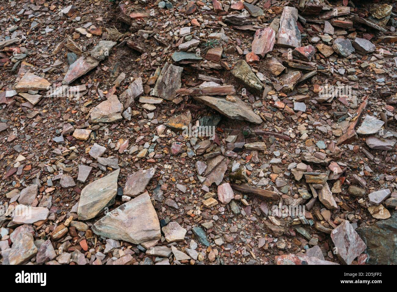 High angle shot of various rocks in nature Stock Photo - Alamy