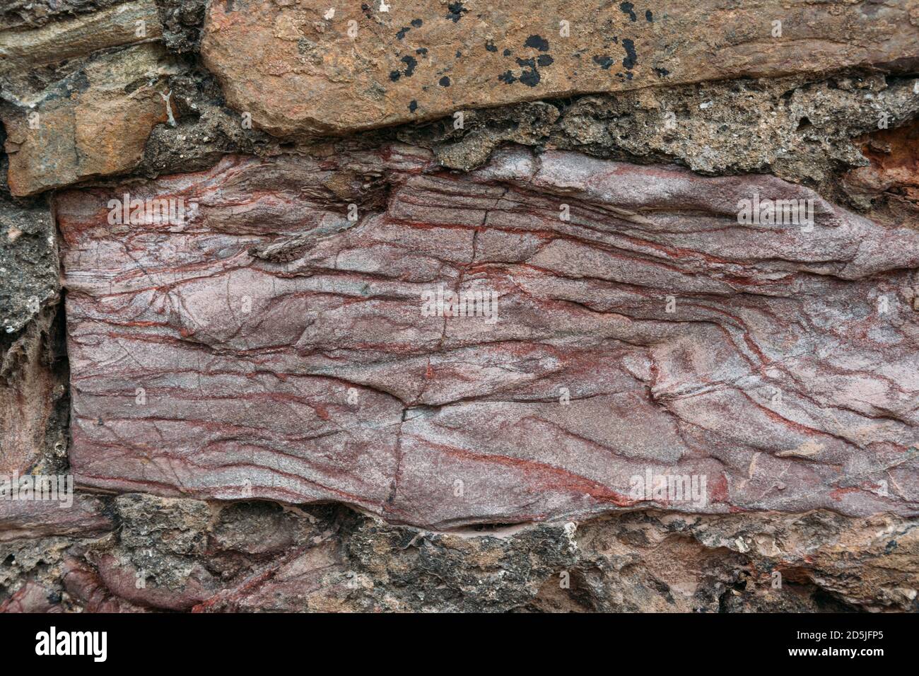 Closeup shot of stone texture Stock Photo - Alamy
