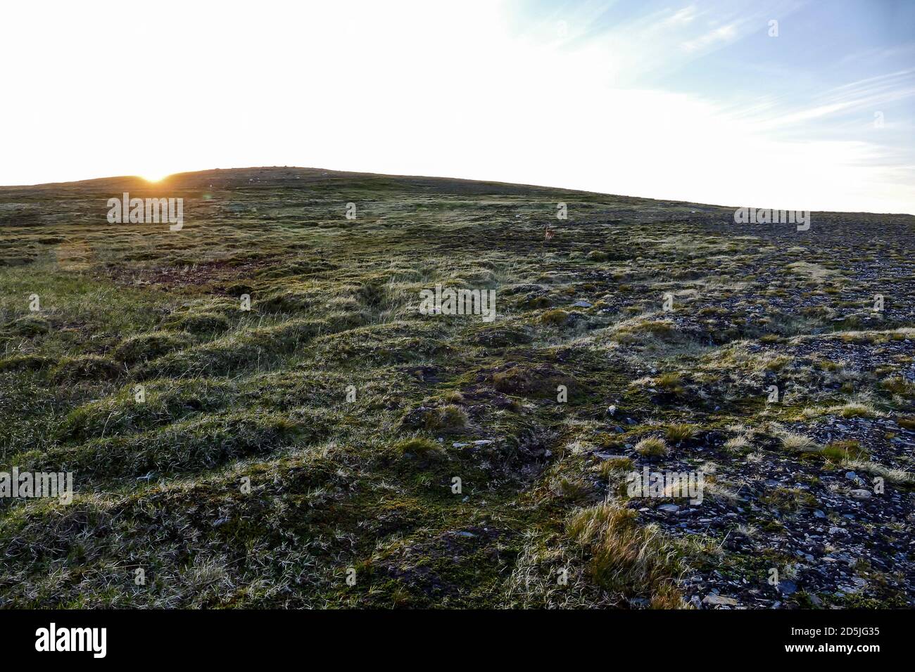 aerial view of fields, in Norway Scandinavia North Europe Stock Photo ...