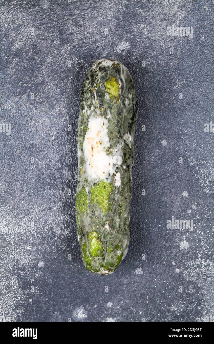 Rotten cucumber hi-res stock photography and images - Alamy
