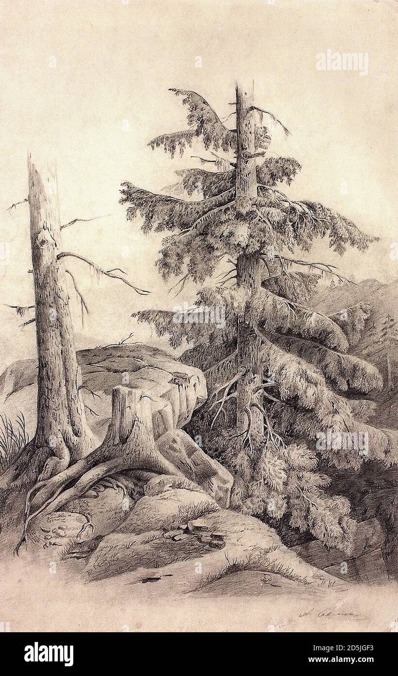 19th century tree hi-res stock photography and images - Alamy