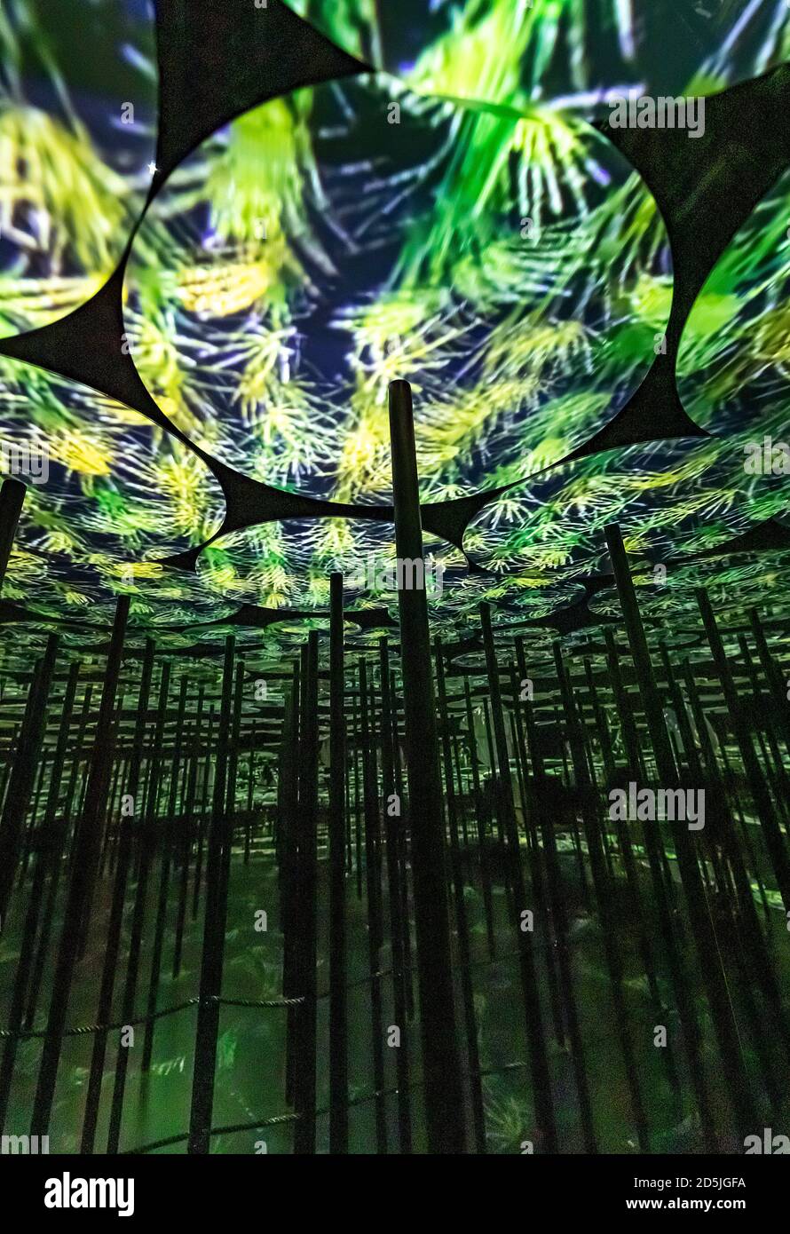 Teamlab borderless art hi-res stock photography and images - Alamy