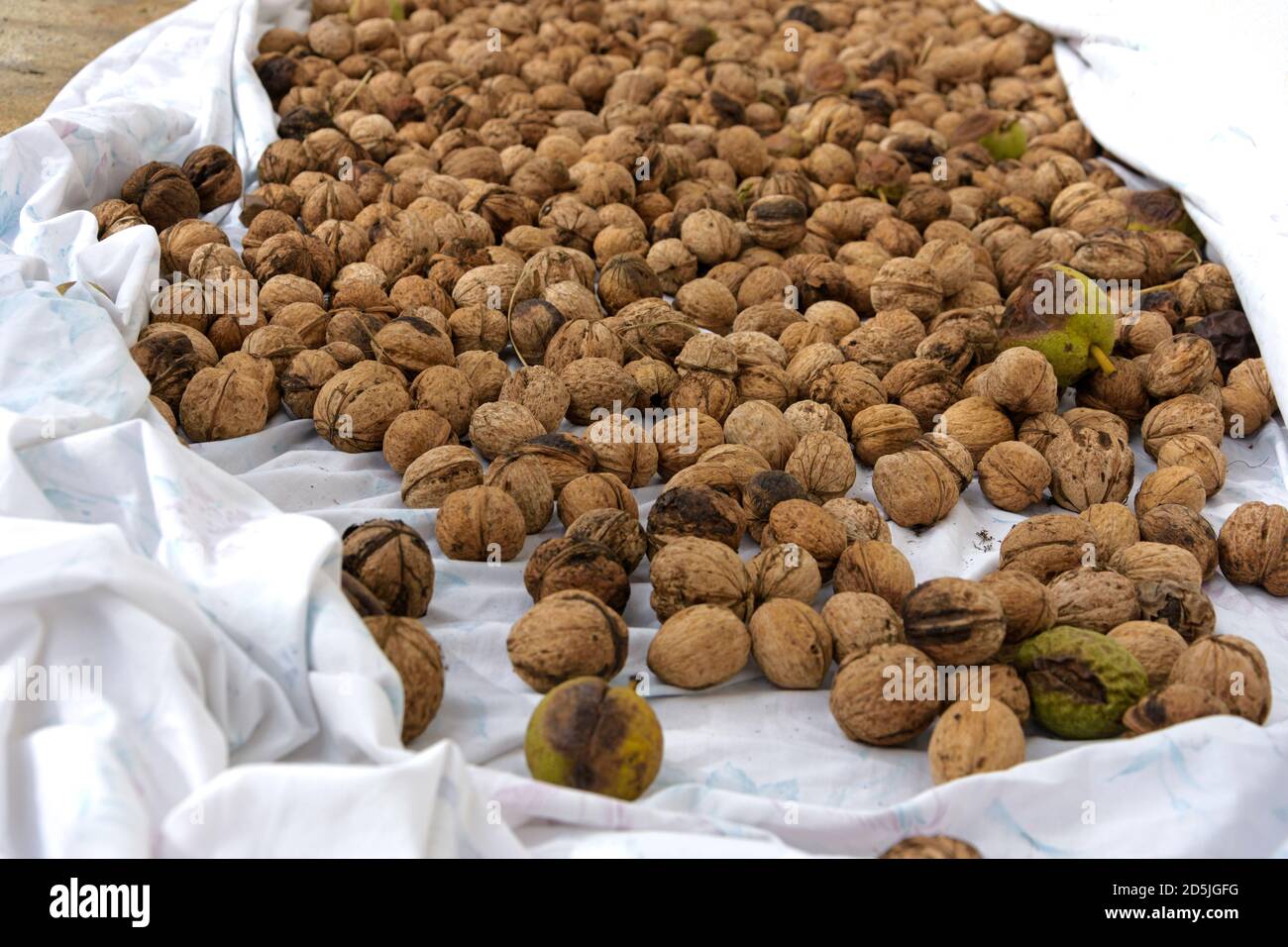 Prepared walnuts hi-res stock photography and images - Alamy
