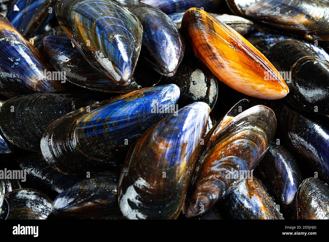Healthy food seafood molluscs hi-res stock photography and images - Alamy