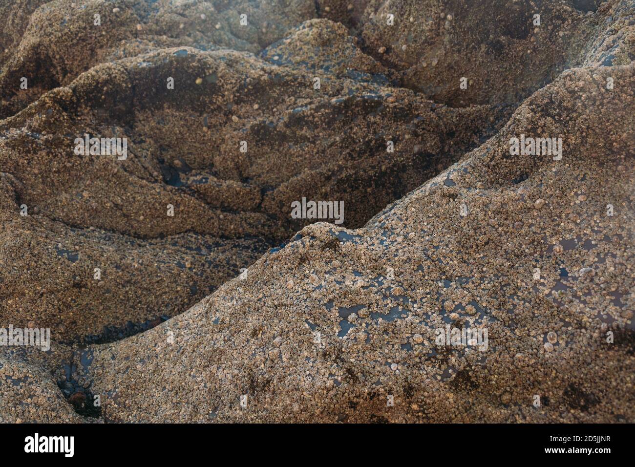 Closeup shot of a weathered stone texture Stock Photo - Alamy