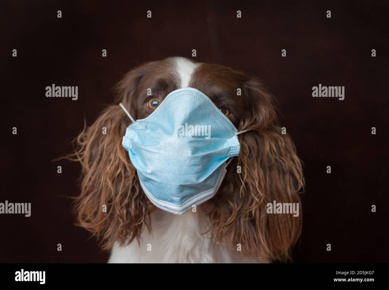 Humorous masks hi-res stock photography and images - Alamy