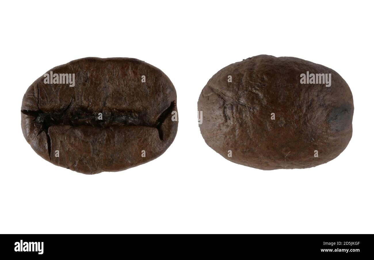 isolated extreme close up of coffee beans texture front and back Stock ...