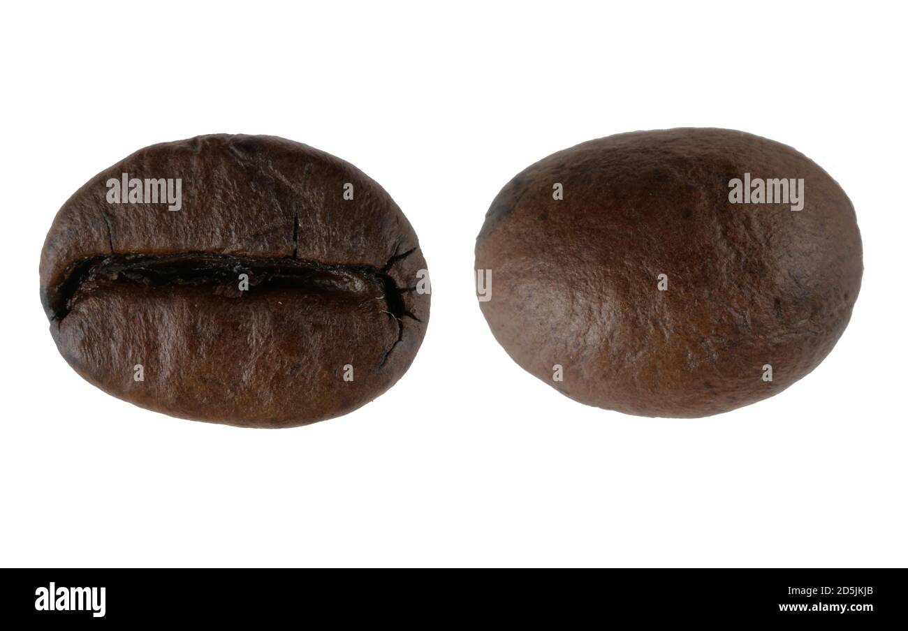 isolated extreme close up of coffee beans texture front and back Stock ...