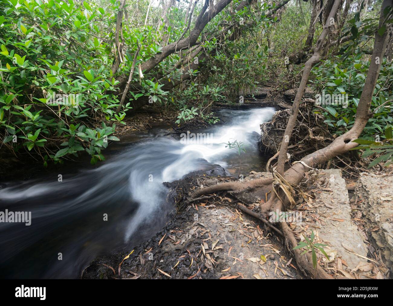 Slow creek hi-res stock photography and images - Alamy