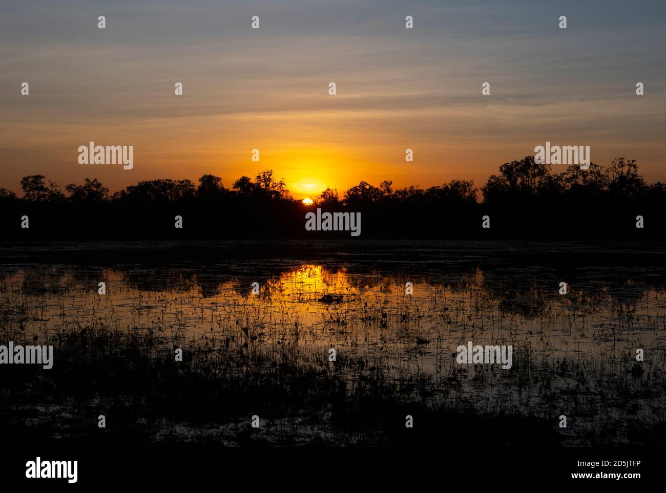 Sun on the horizon at sunrise over wetlands, Leaning Tree Lagoon ...