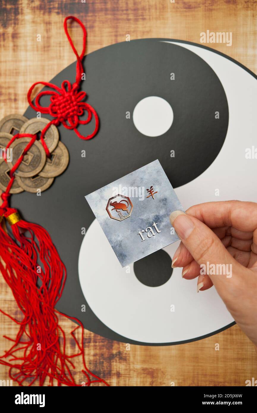 hand holding a card with the Chinese astrology sign of Rat Stock Photo ...
