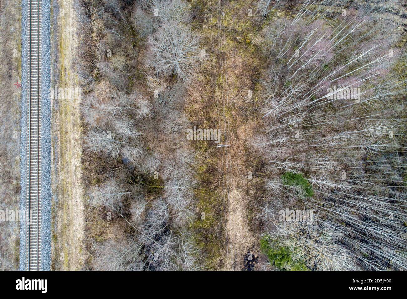 Aerial view of a dense forest with bare autumn trees and an empty railroad track Stock Photo - Alamy