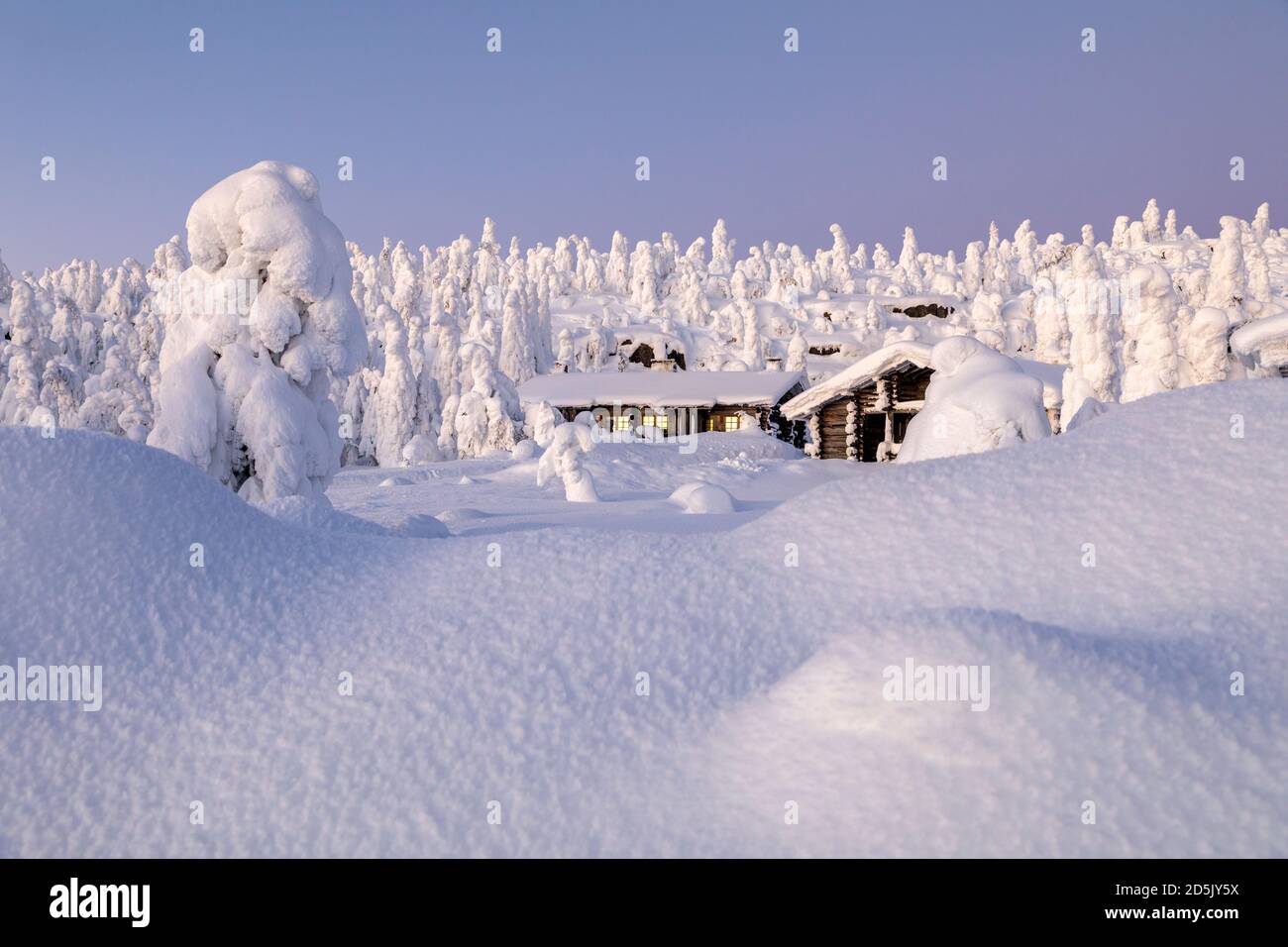 Iso Syote; Trees in Winter; Finland Stock Photo - Alamy