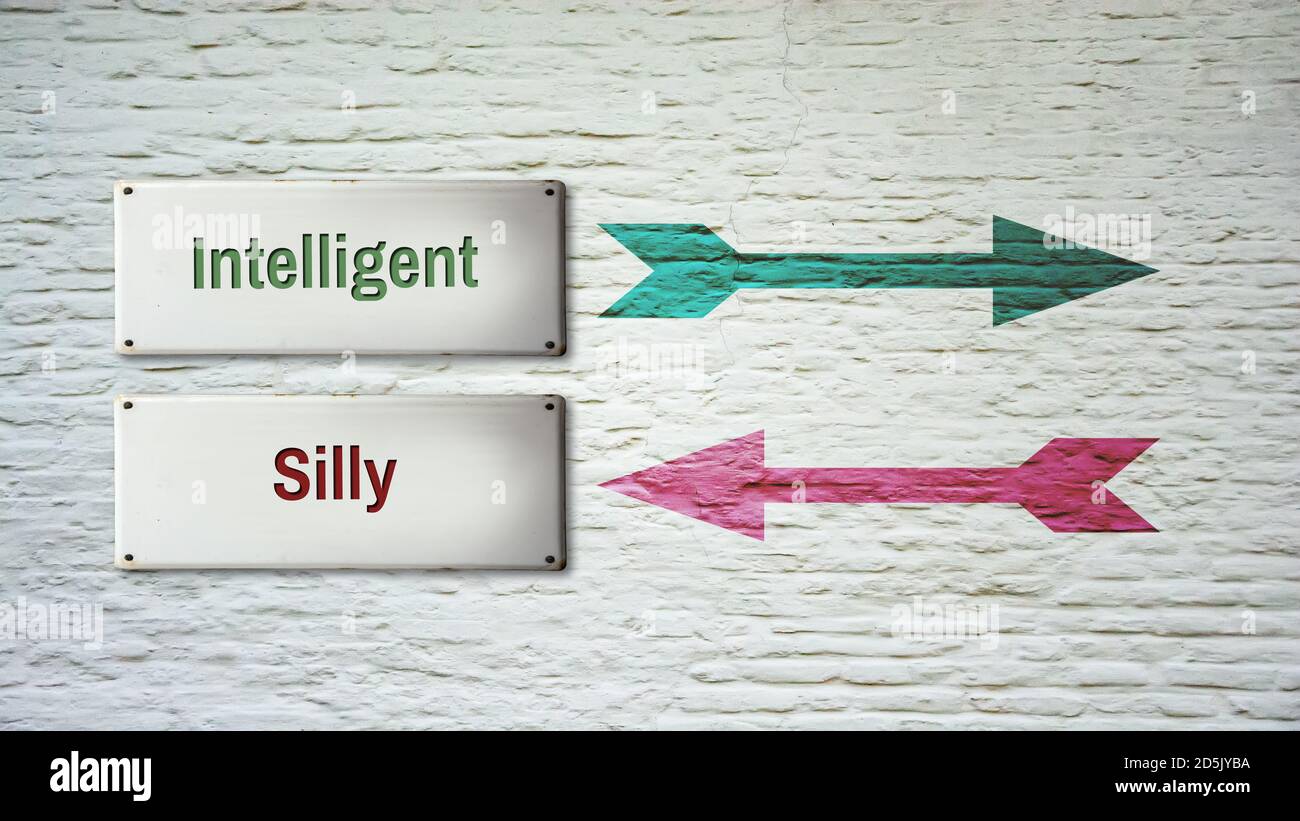 Street Sign the Direction Way to Intelligent versus Silly Stock Photo ...
